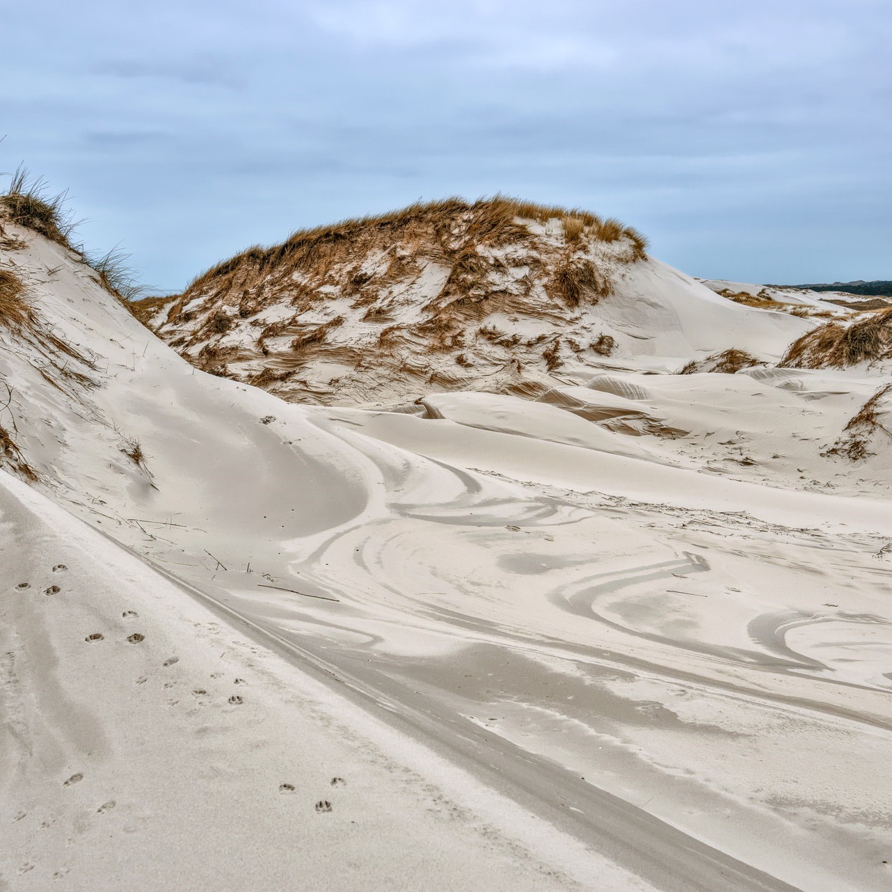 Expériences de bien-être sur-mesure | Alma Flow Experience