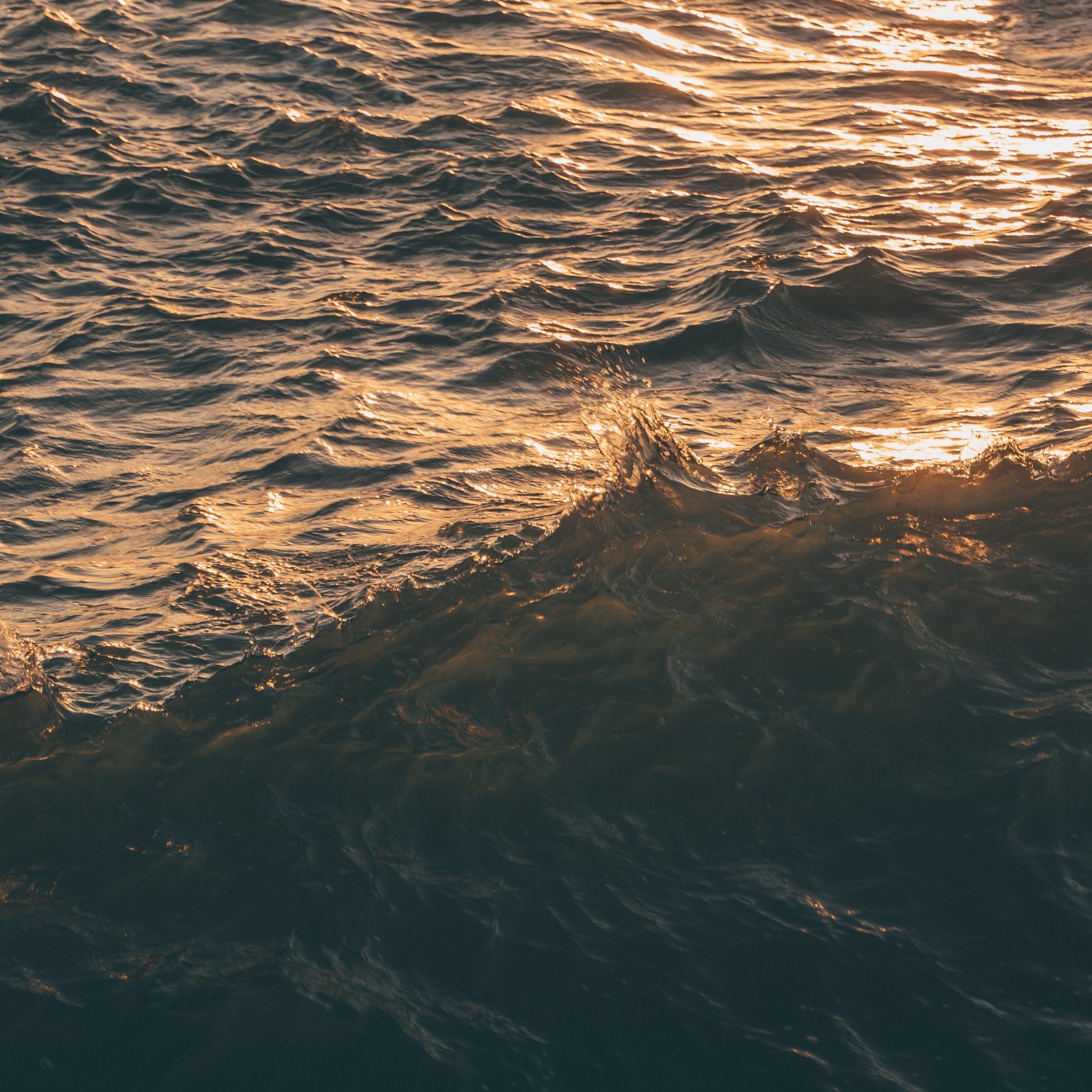 FAQ - Questions fréquentes | Alma Flow Experience